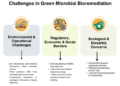 Harnessing Green Microbial Technology for Sustainable Bioremediation ...